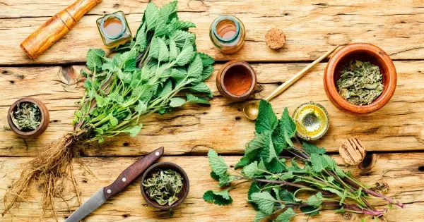 erbe officinali in cucina