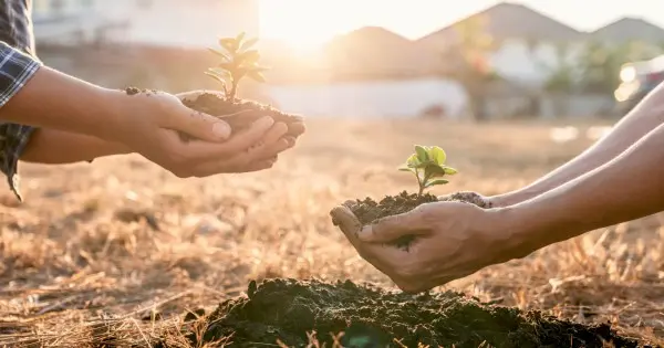 vivere verde: integrare il benessere personale con la sostenibilità ...