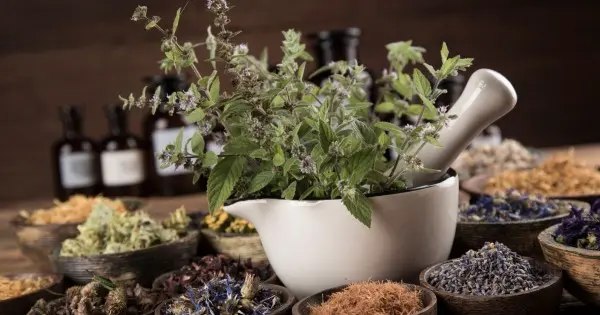 erbe officinali rafforzano sistema immunitario